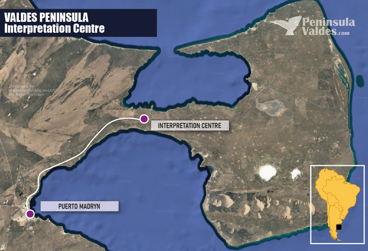 Valdes Peninsula Interpretation Centre: Ultimate Guide | Peninsula Valdes