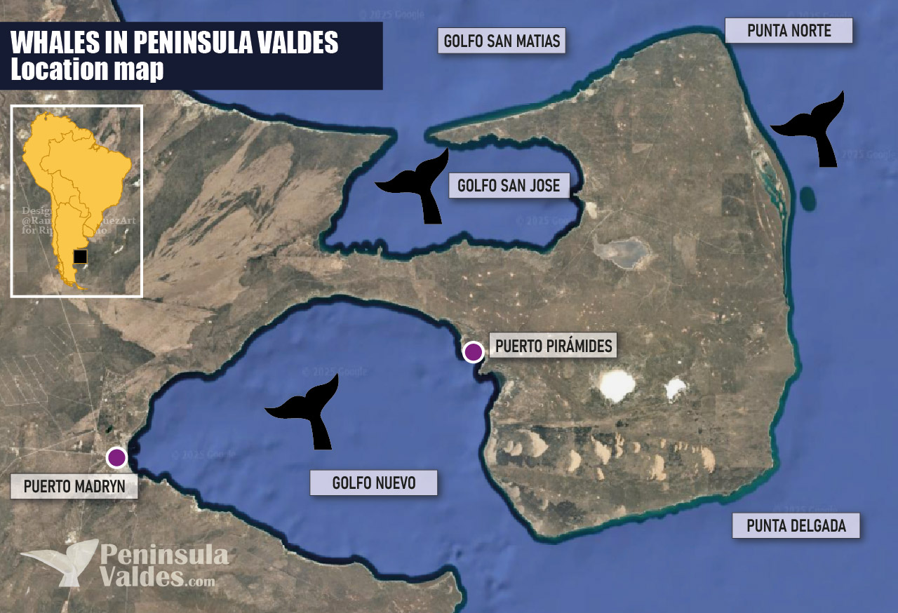 Peninsula Valdes, Patagonia: Unesco World Heritage | Peninsula Valdes