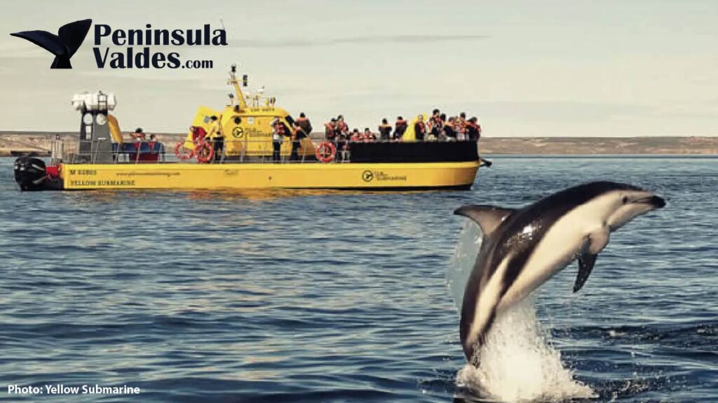 Peninsula Valdes – Peninsula Valdes
