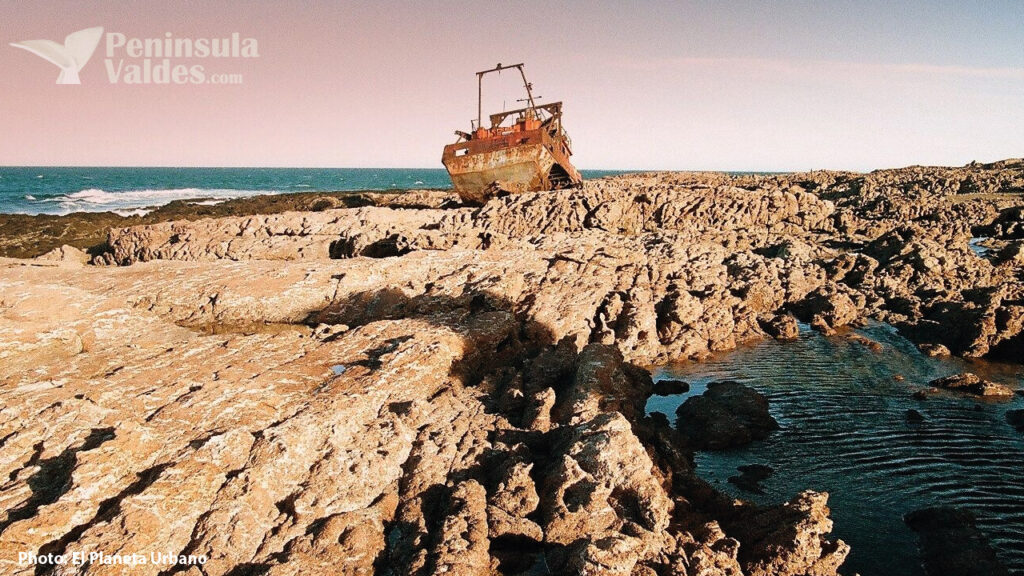 Cabo Raso – Peninsula Valdes