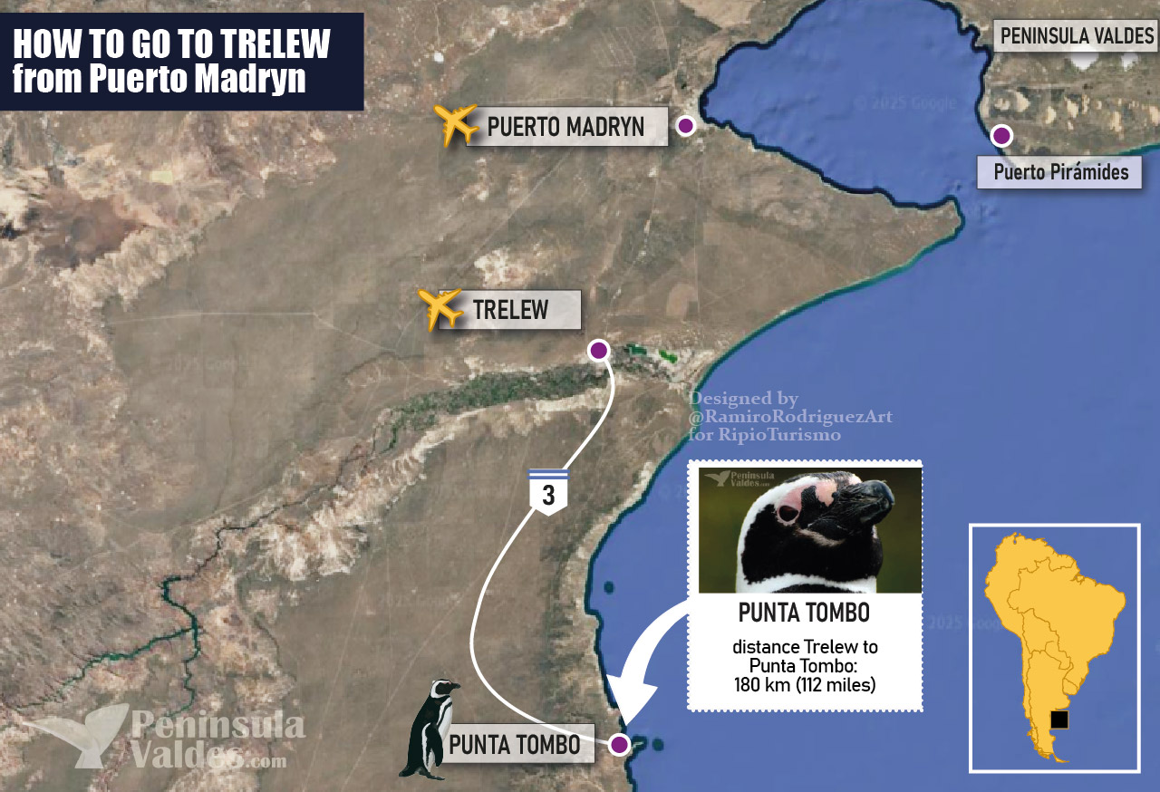 How do I get from Trelew to Punta Tombo Penguin Reserve? | Peninsula Valdes