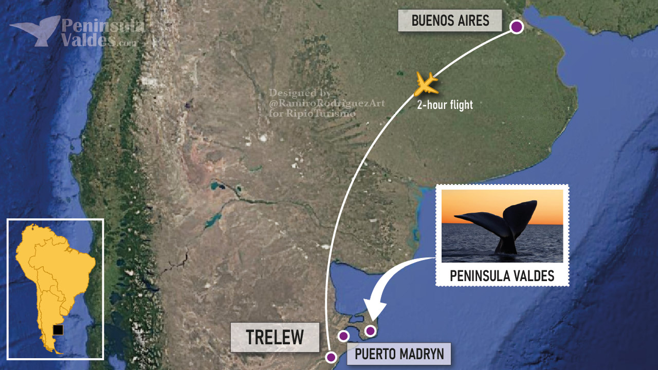 Dinosaurs of Patagonia in Trelew. The Patagotitan Mayorum | Peninsula ...