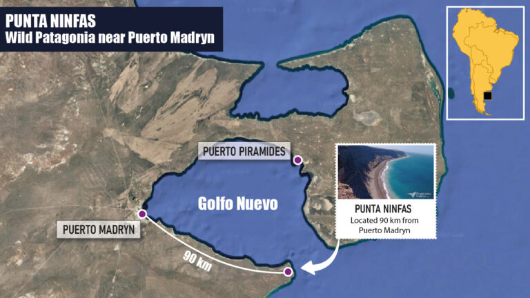 Punta Ninfas | Peninsula Valdes