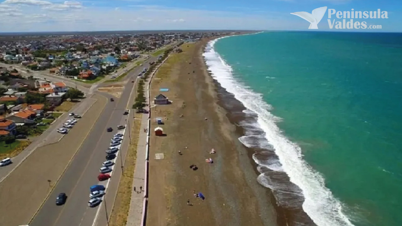 Playa Union: what to see? | Peninsula Valdes