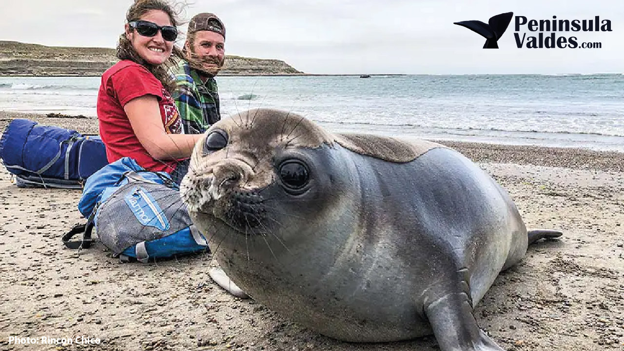 Peninsula Valdes – Peninsula Valdes